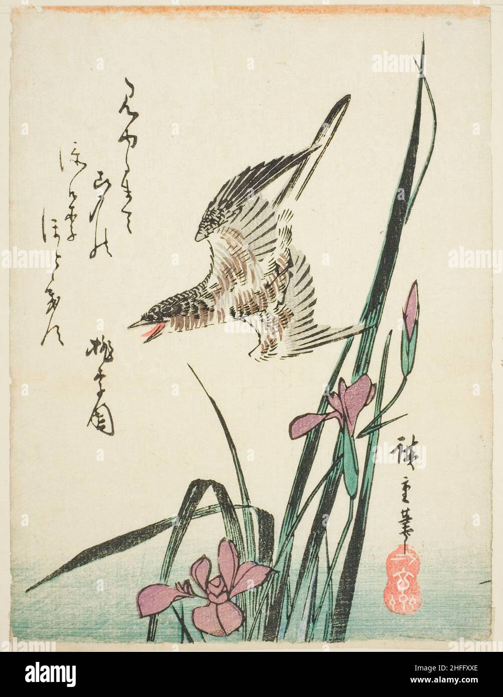 Flying birds over flower hi-res stock photography and images - Alamy