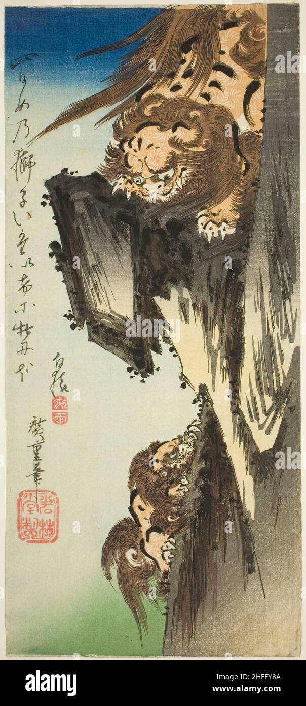 Lion training hi-res stock photography and images - Alamy