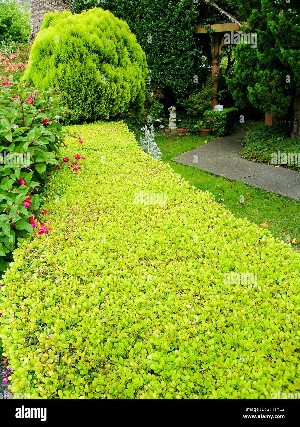 Deciduous hedge pruning hi-res stock photography and images - Alamy