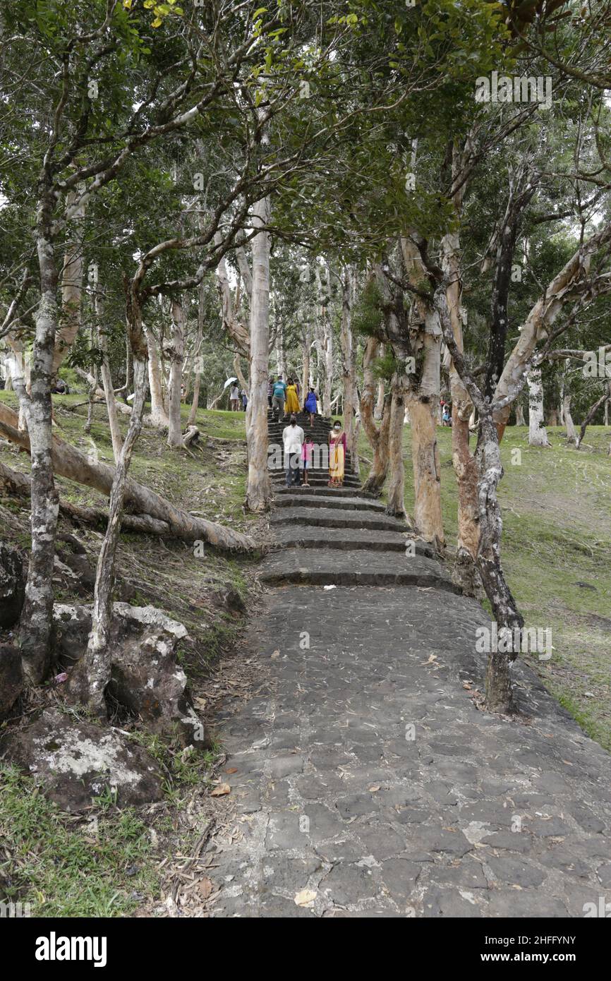 Alexandra Falls View Point Stock Photo - Alamy