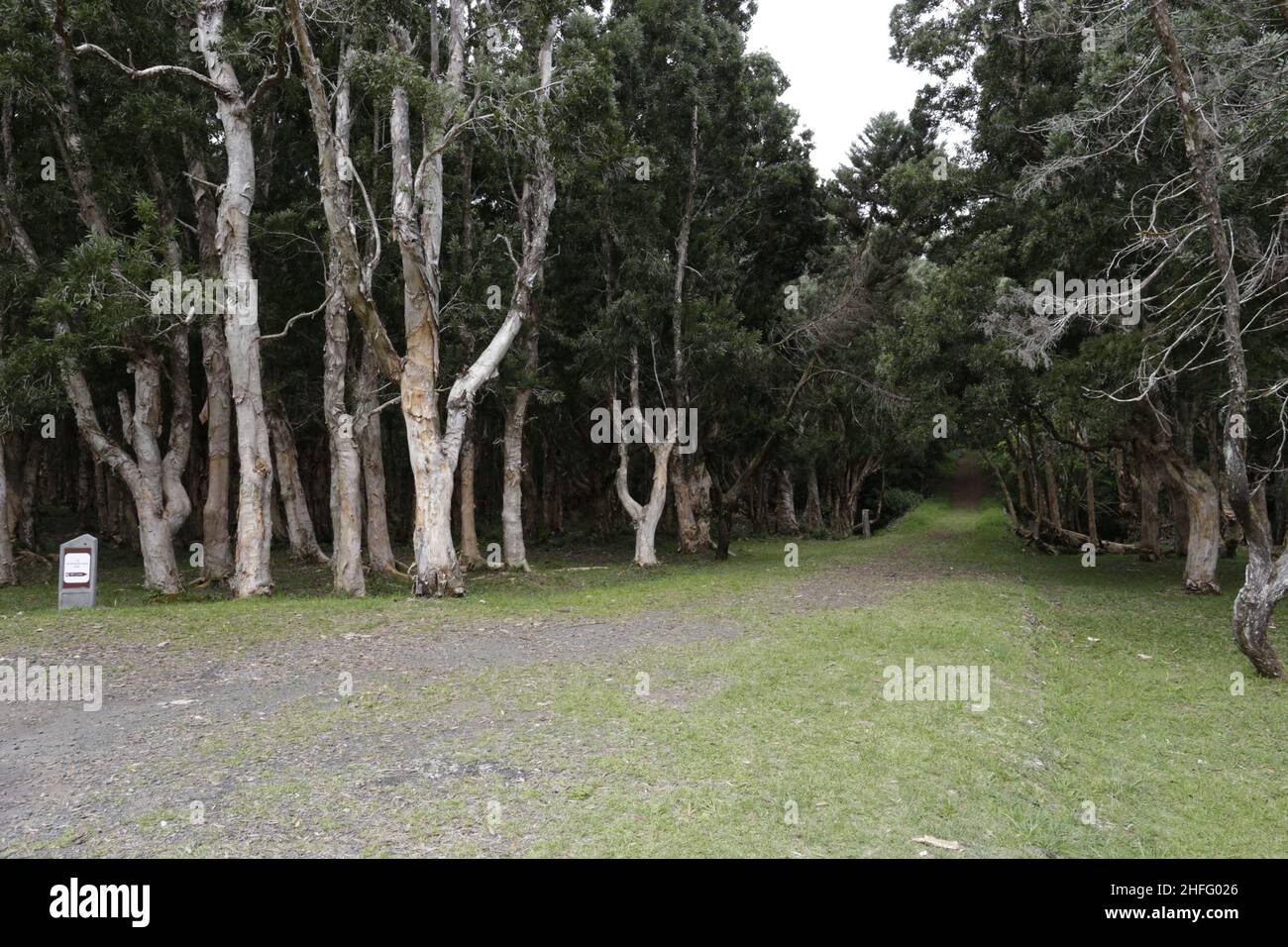 Alexandra Falls View Point Stock Photo - Alamy