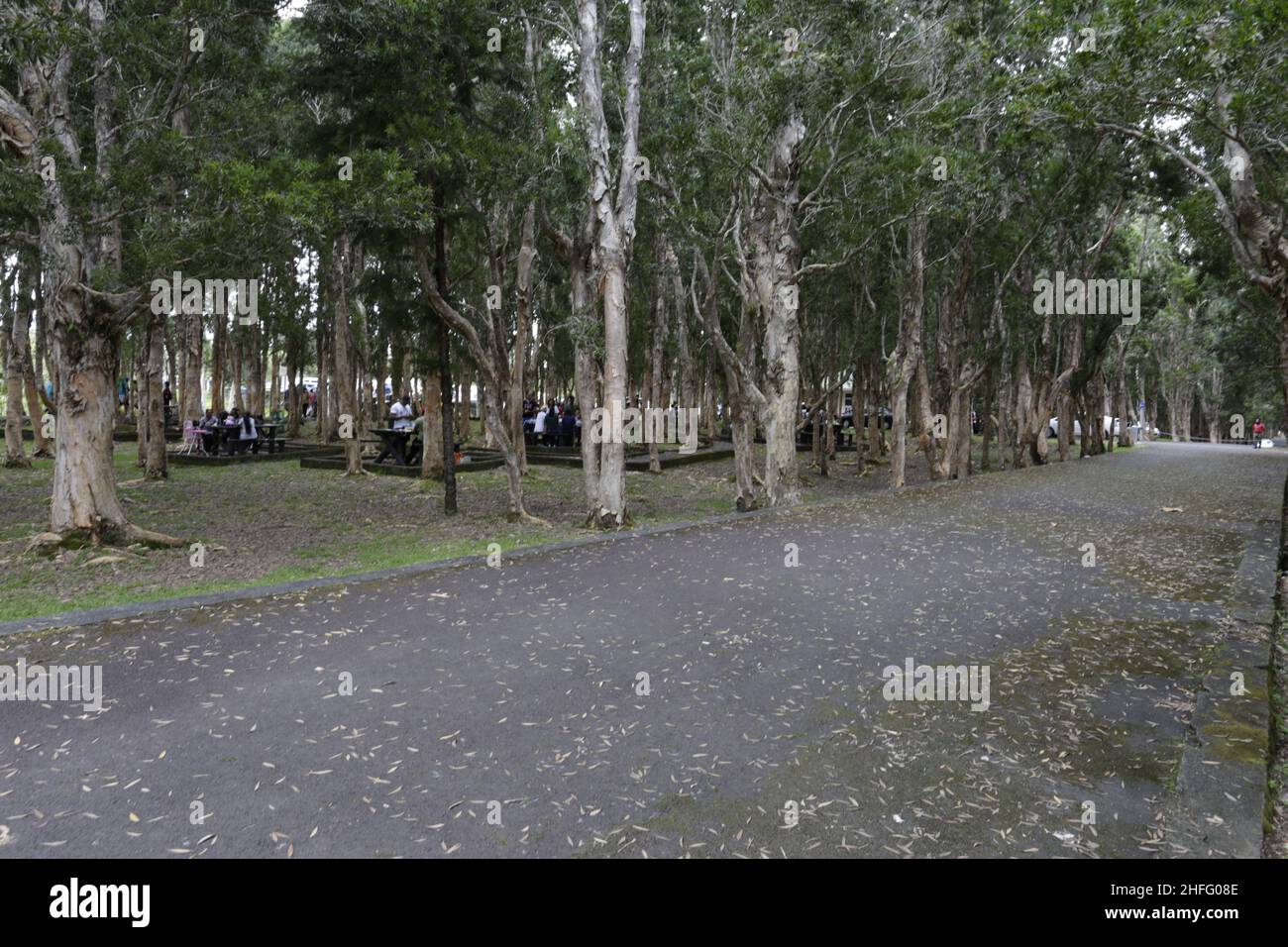 Alexandra Falls View Point Stock Photo - Alamy