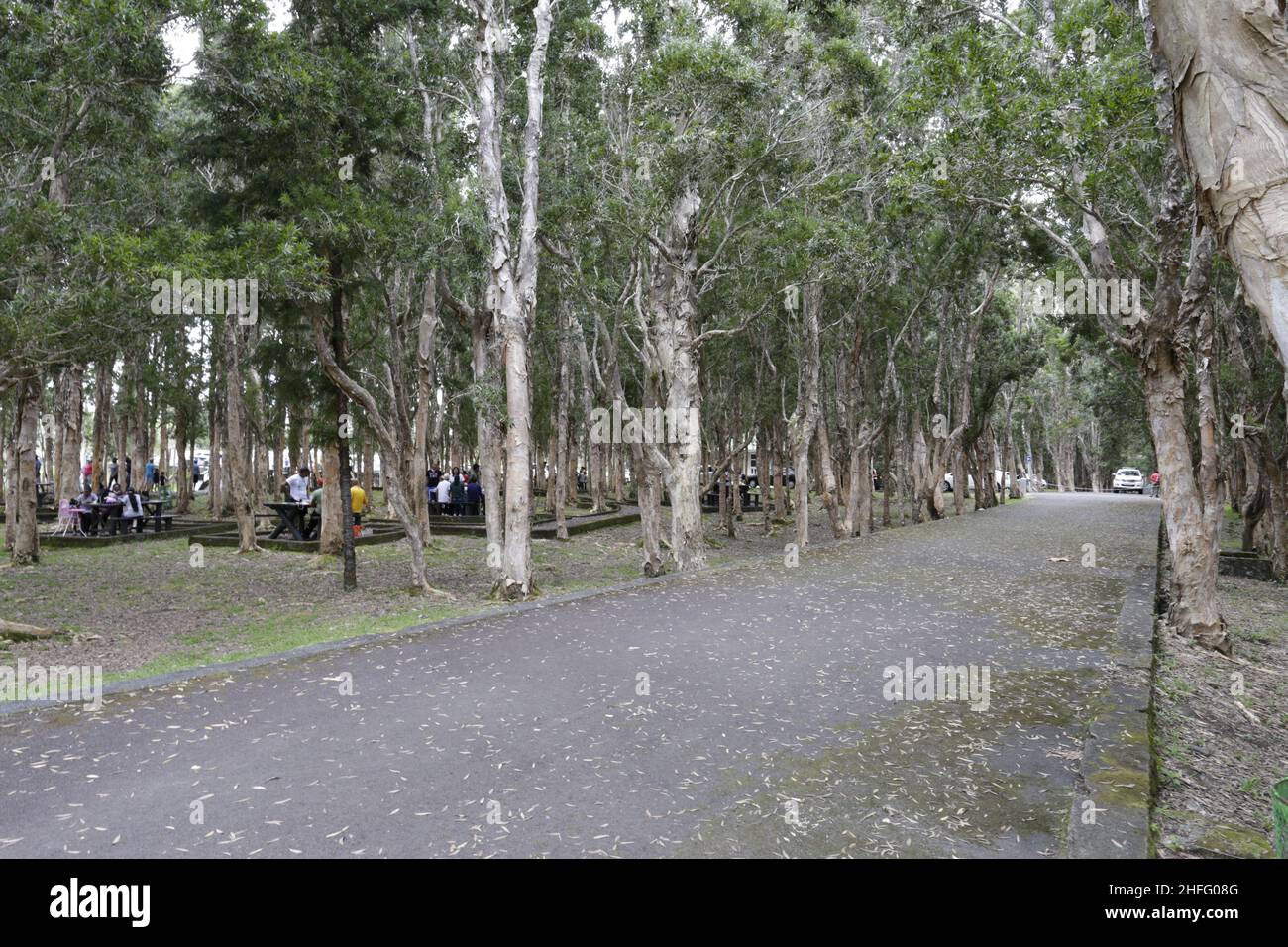 Alexandra Falls View Point Stock Photo - Alamy