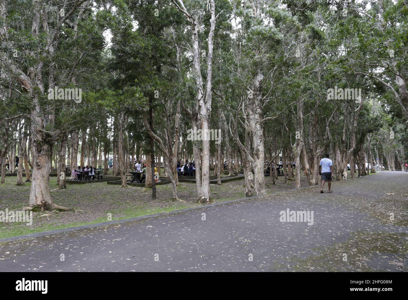 Alexandra Falls View Point Stock Photo - Alamy