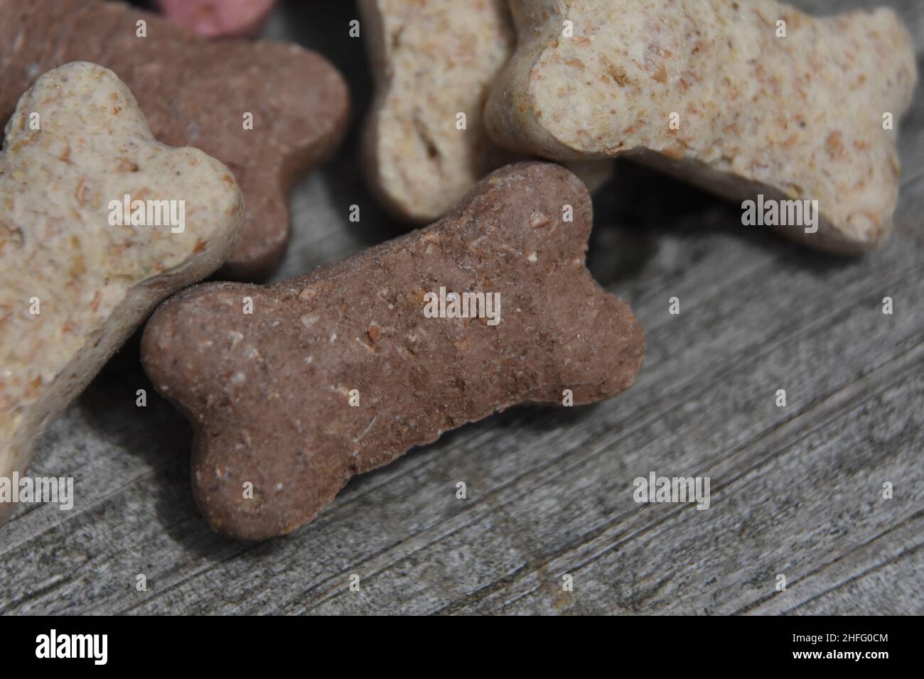 Pile of different colored dog treats up close waiting to reward a pup ...