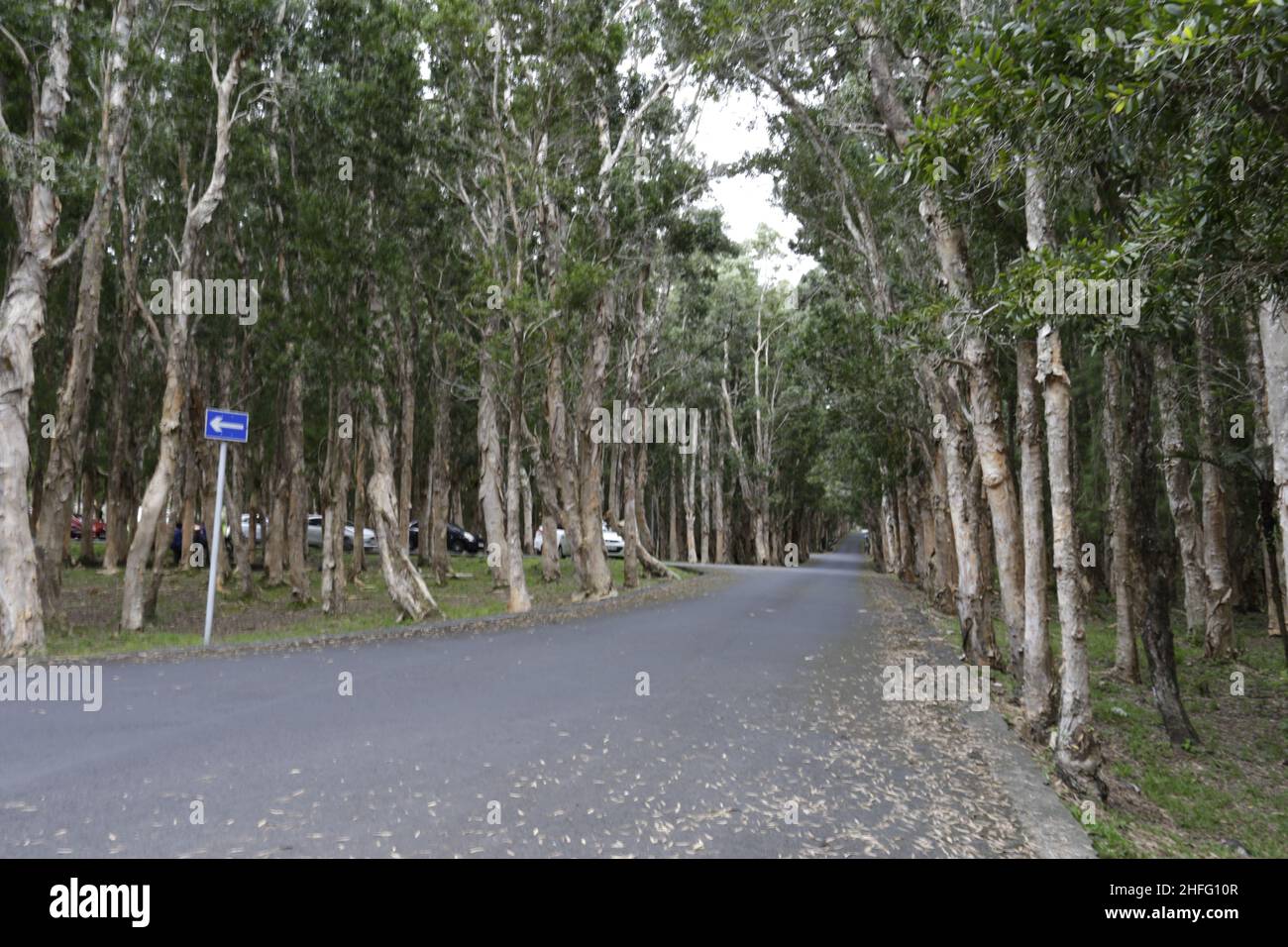 Alexandra Falls View Point Stock Photo - Alamy