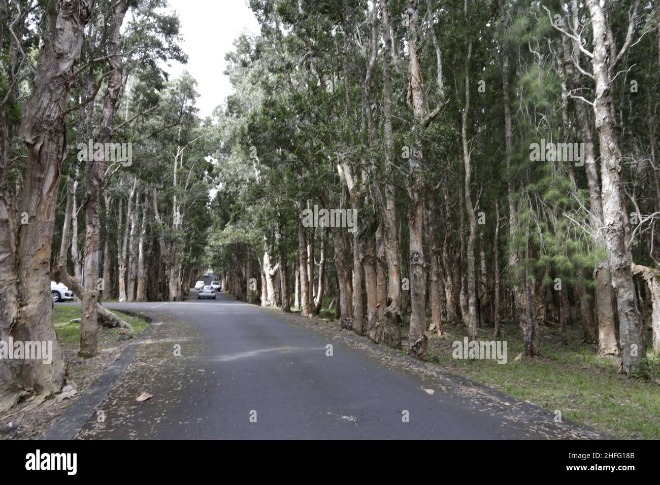 Alexandra Falls View Point Stock Photo - Alamy