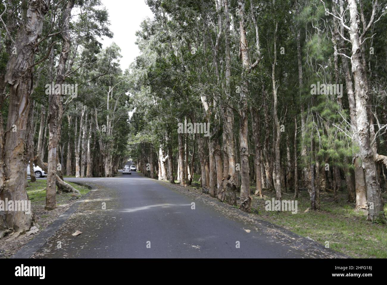 Alexandra Falls View Point Stock Photo - Alamy