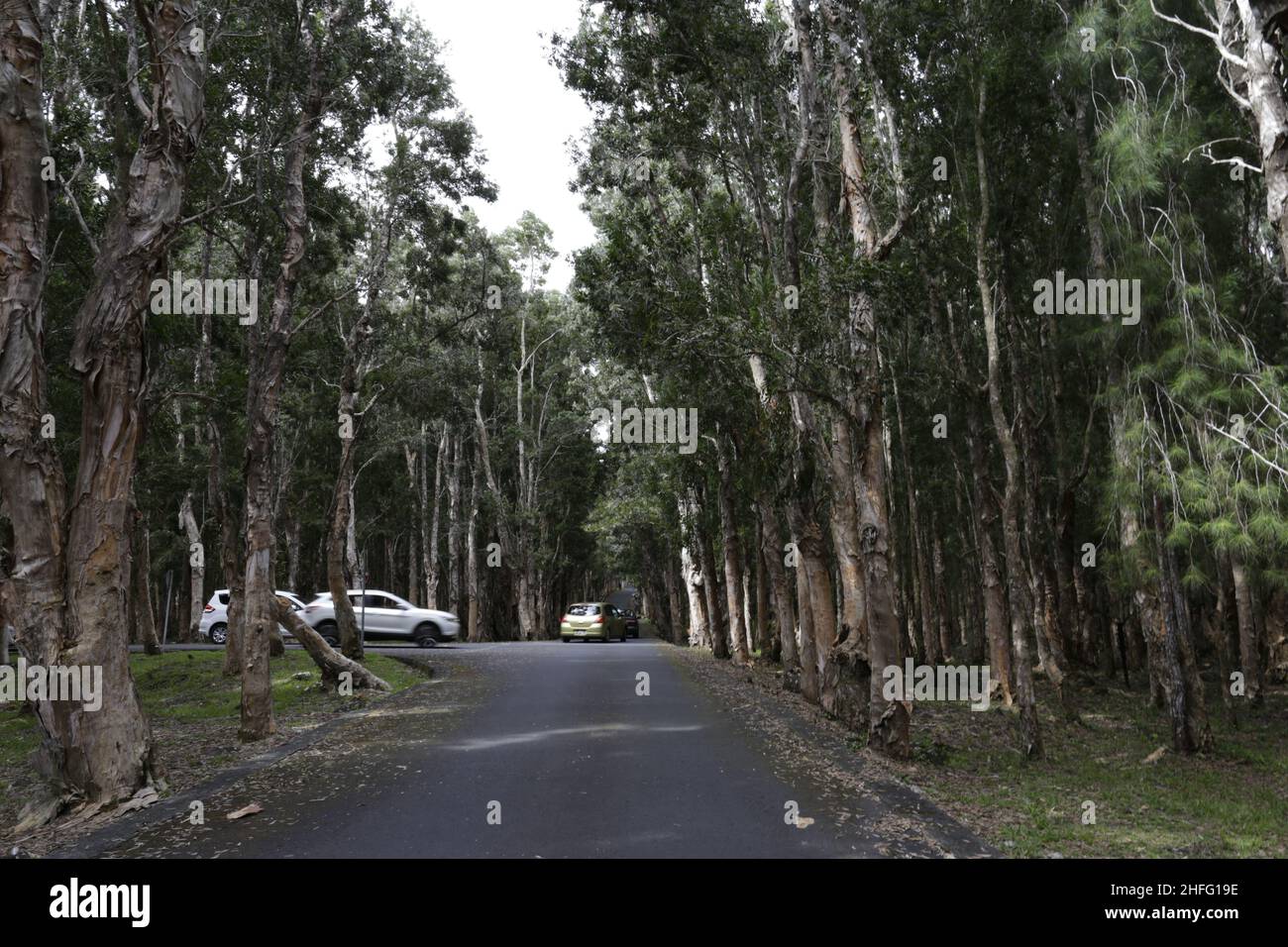 Alexandra Falls View Point Stock Photo - Alamy