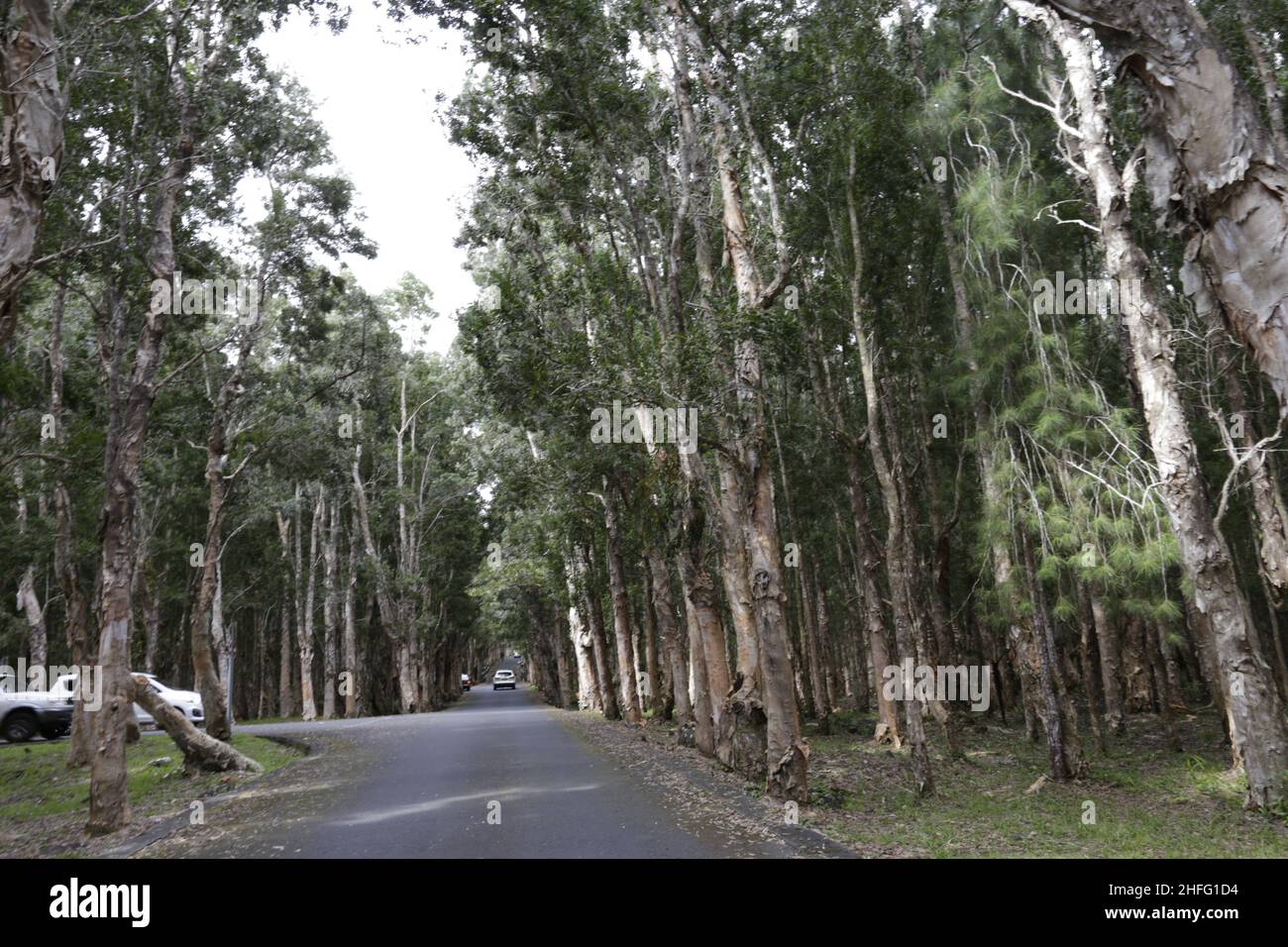 Alexandra Falls View Point Stock Photo - Alamy