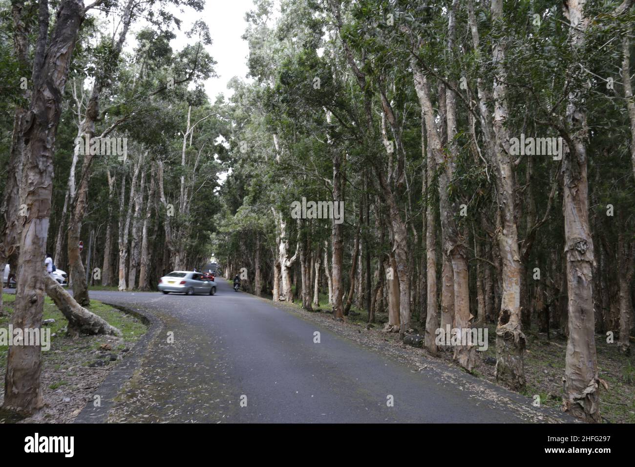 Alexandra Falls View Point Stock Photo - Alamy