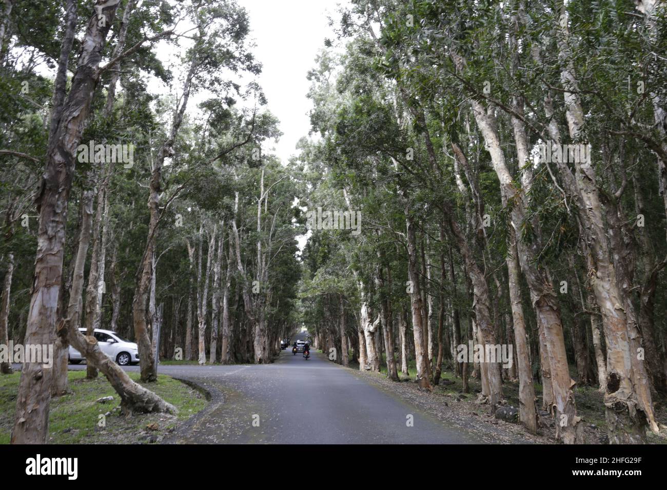 Alexandra Falls View Point Stock Photo - Alamy