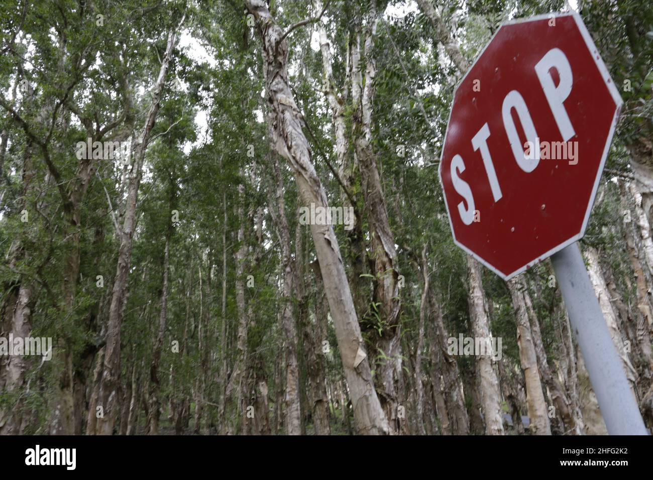 Alexandra Falls View Point Stock Photo - Alamy