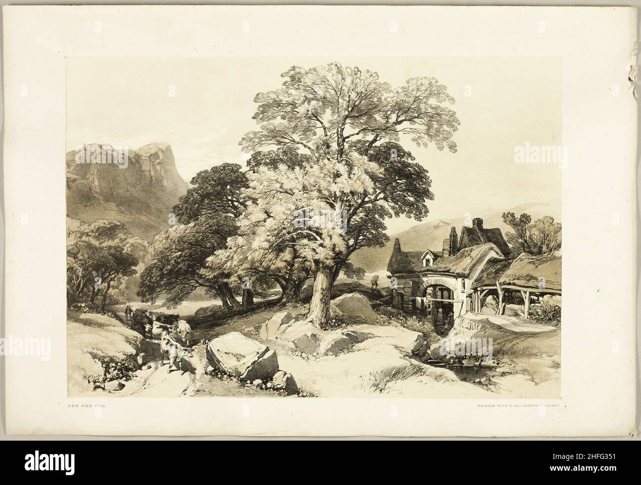 Jd harding hi-res stock photography and images - Alamy