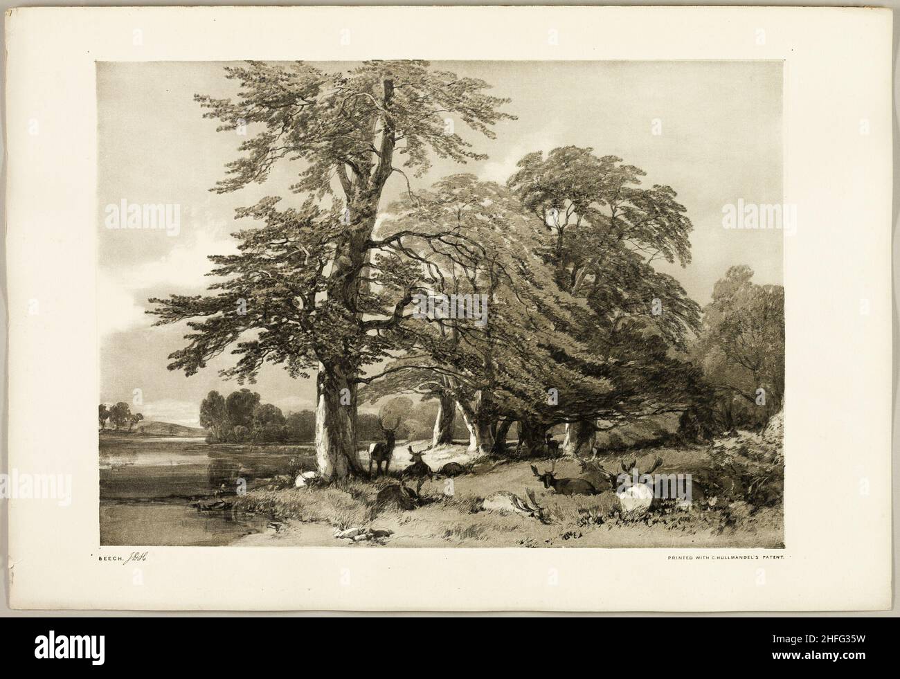 Jd harding hi-res stock photography and images - Alamy