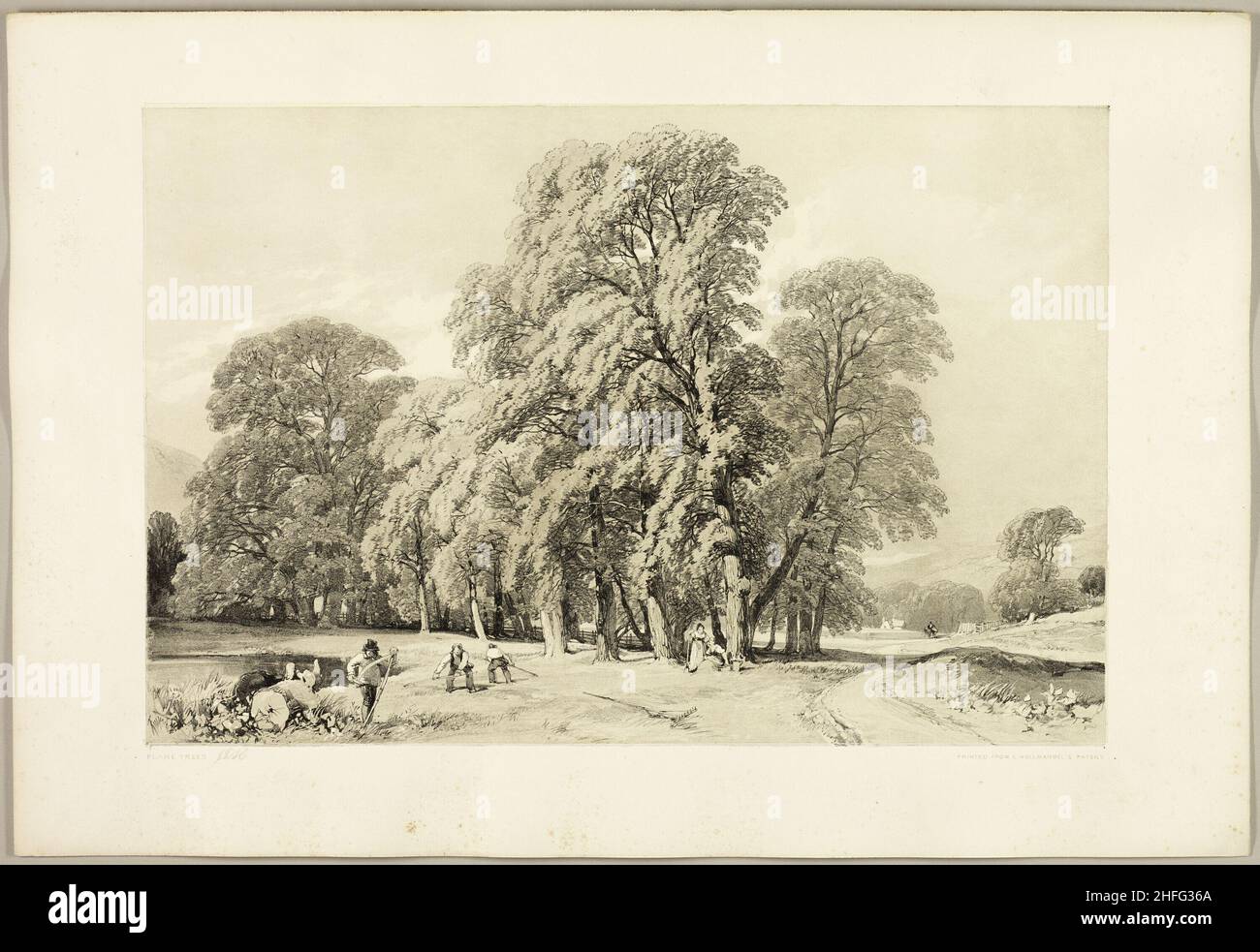 Jd harding hi-res stock photography and images - Alamy