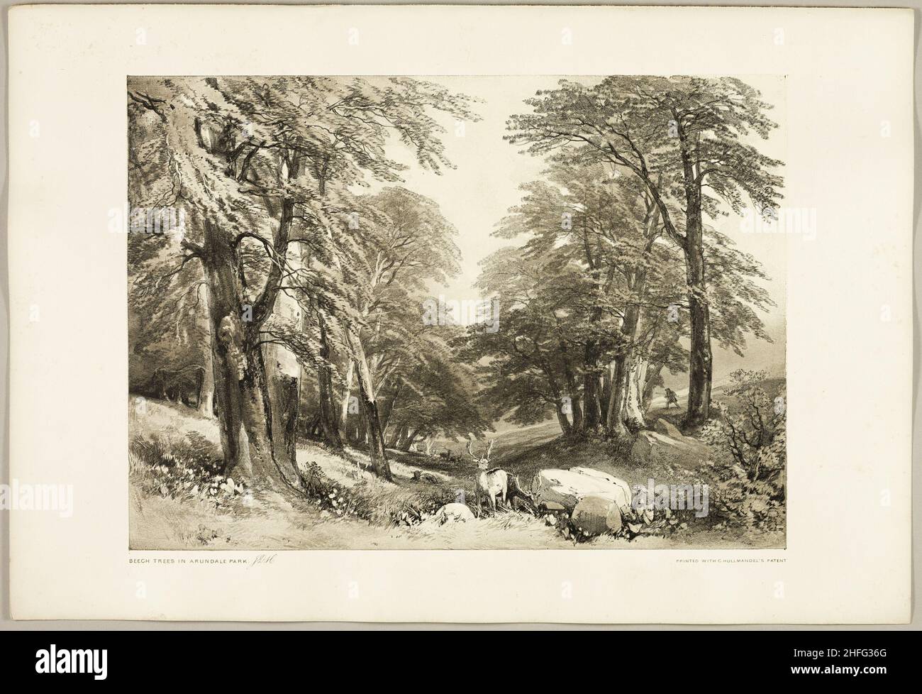 Jd harding hi-res stock photography and images - Alamy