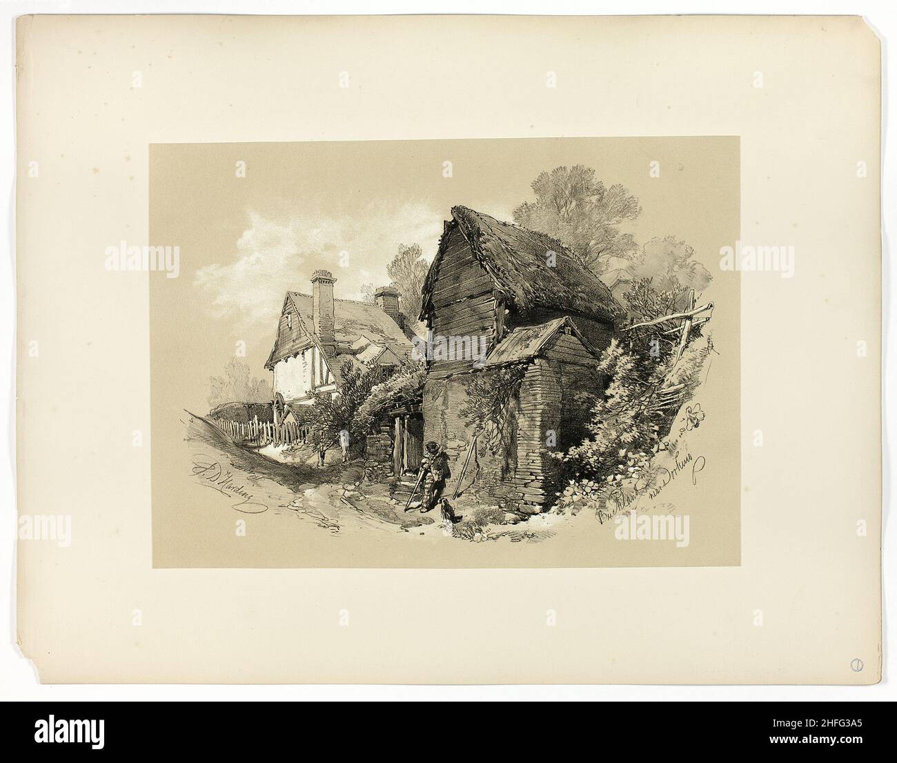 Jd harding hi-res stock photography and images - Alamy