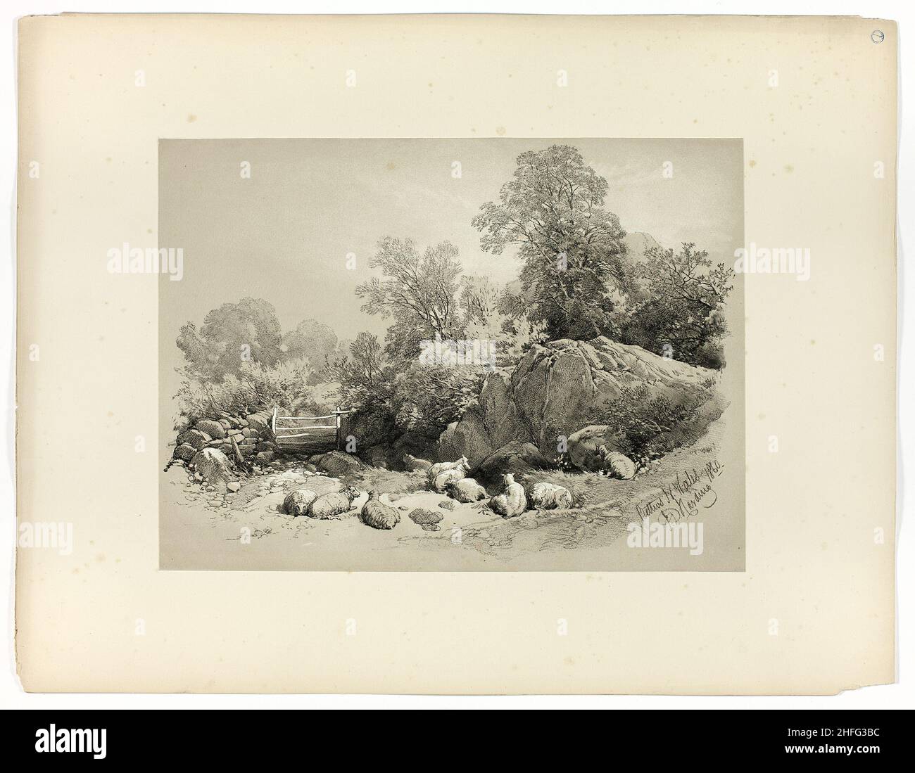 Jd harding hi-res stock photography and images - Alamy