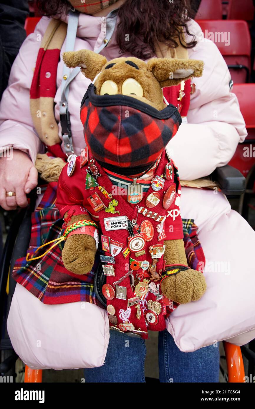 A Liverpool fan with a Scooby Doo plush toy covered in Liverpool pin ...