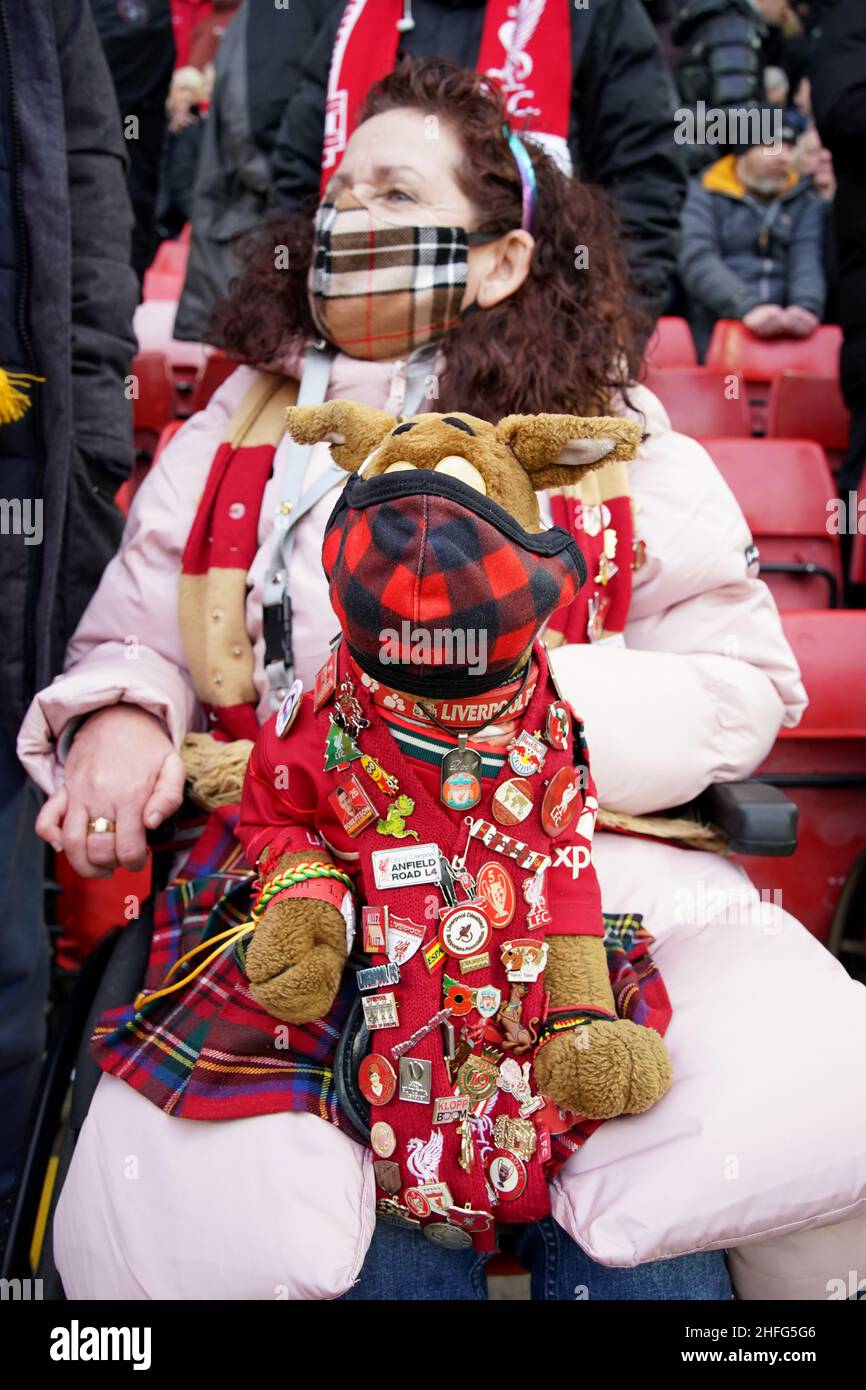 A Liverpool fan with a Scooby Doo plush toy covered in Liverpool pin ...