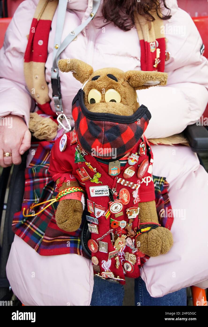 A Liverpool fan with a Scooby Doo plush toy covered in Liverpool pin ...
