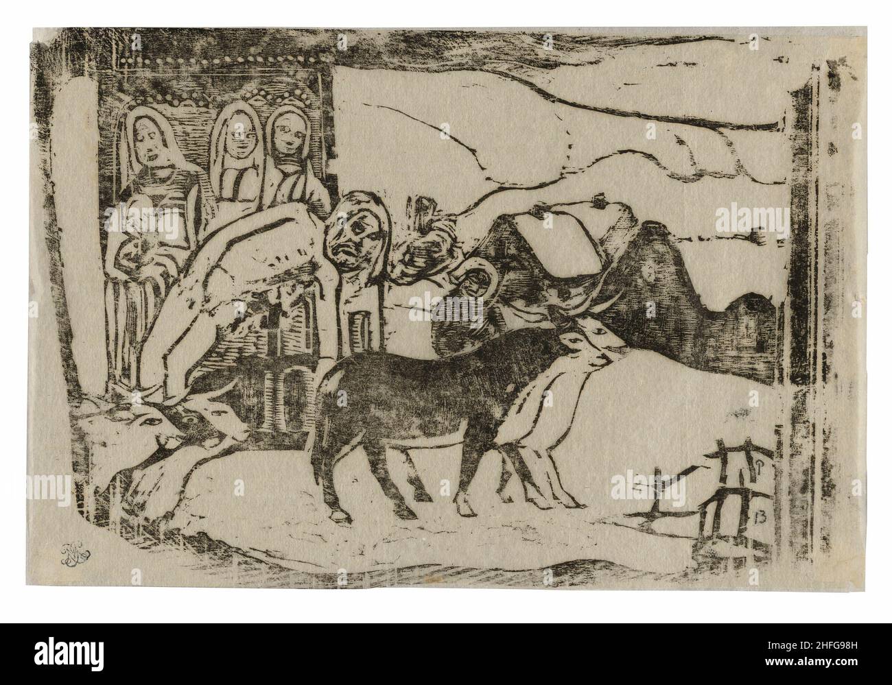 Colour animal prints Cut Out Stock Images & Pictures - Alamy