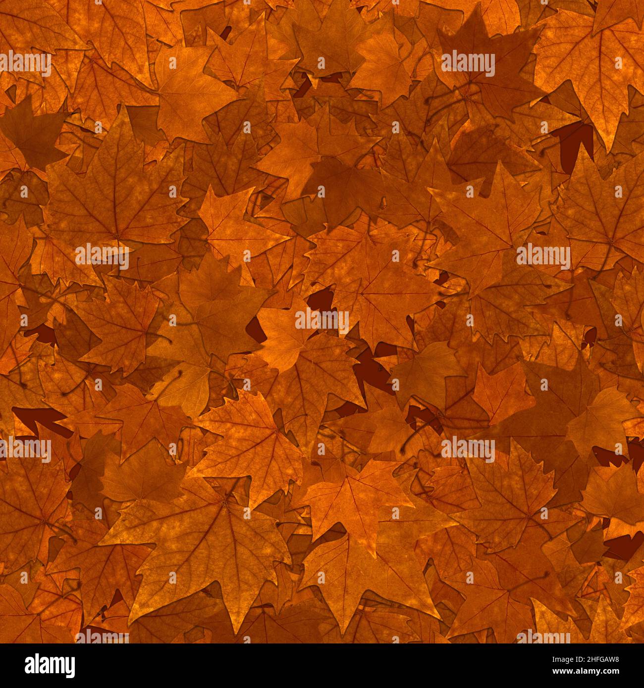 Orange Autumn leaf background Stock Photo - Alamy