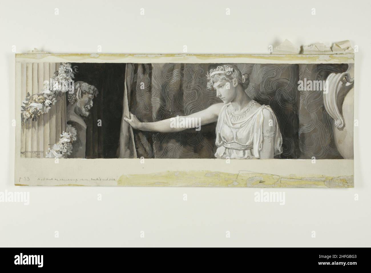 Pulp chamber hi-res stock photography and images - Alamy