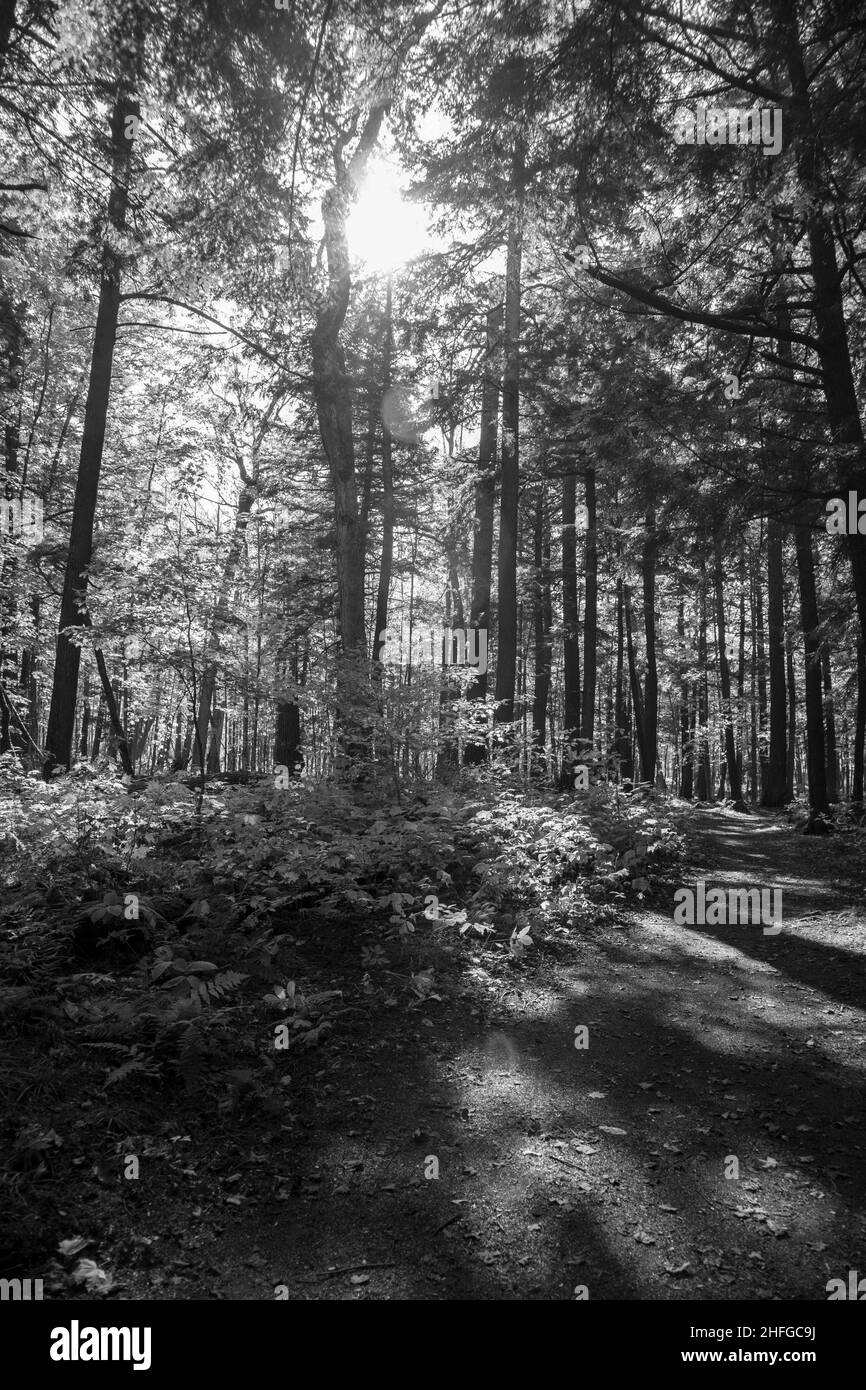 Black River Hike - Upper Peninsula, Michigan - October 2021 Stock Photo ...