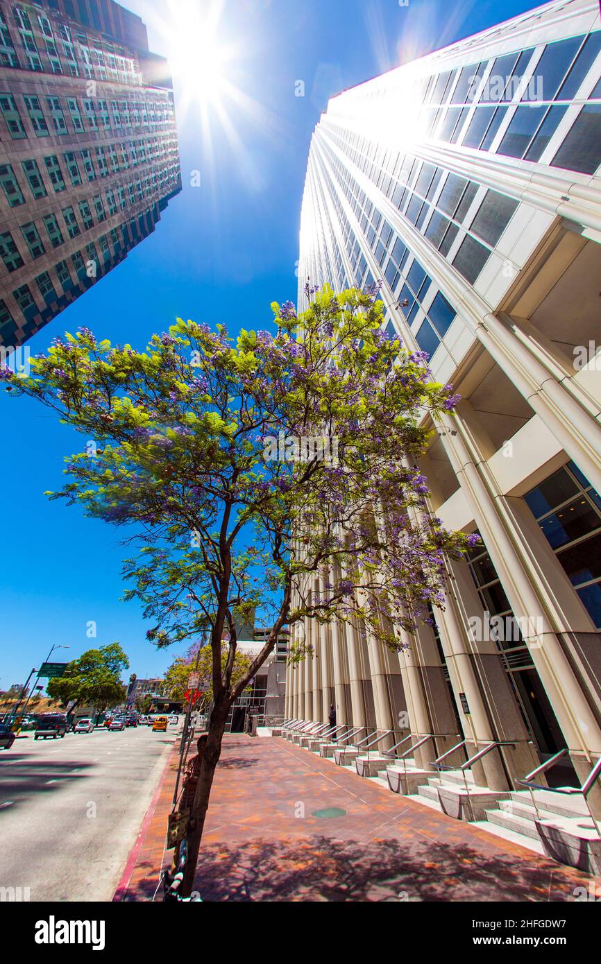 perspective of skyscraper with green tree Stock Photo - Alamy