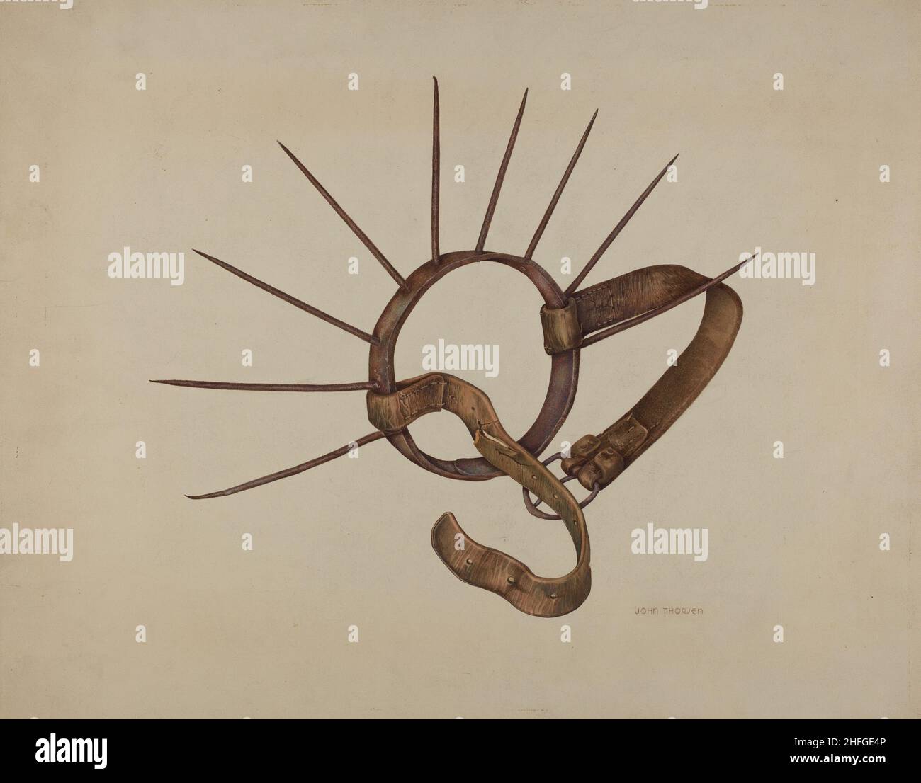 Calf weaning hi-res stock photography and images - Alamy