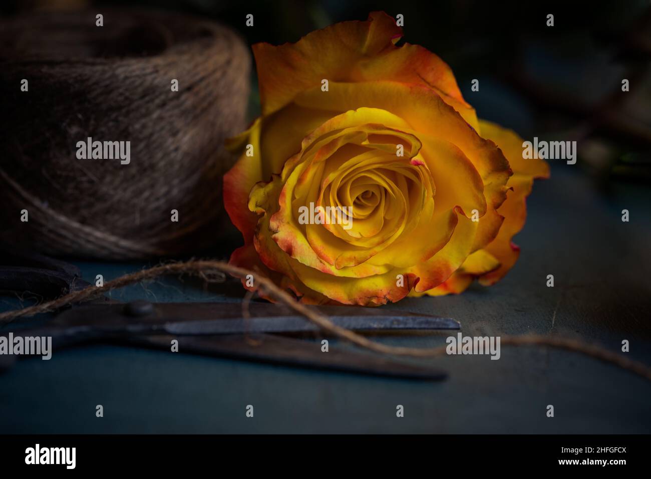 Rustic roses hi-res stock photography and images - Alamy