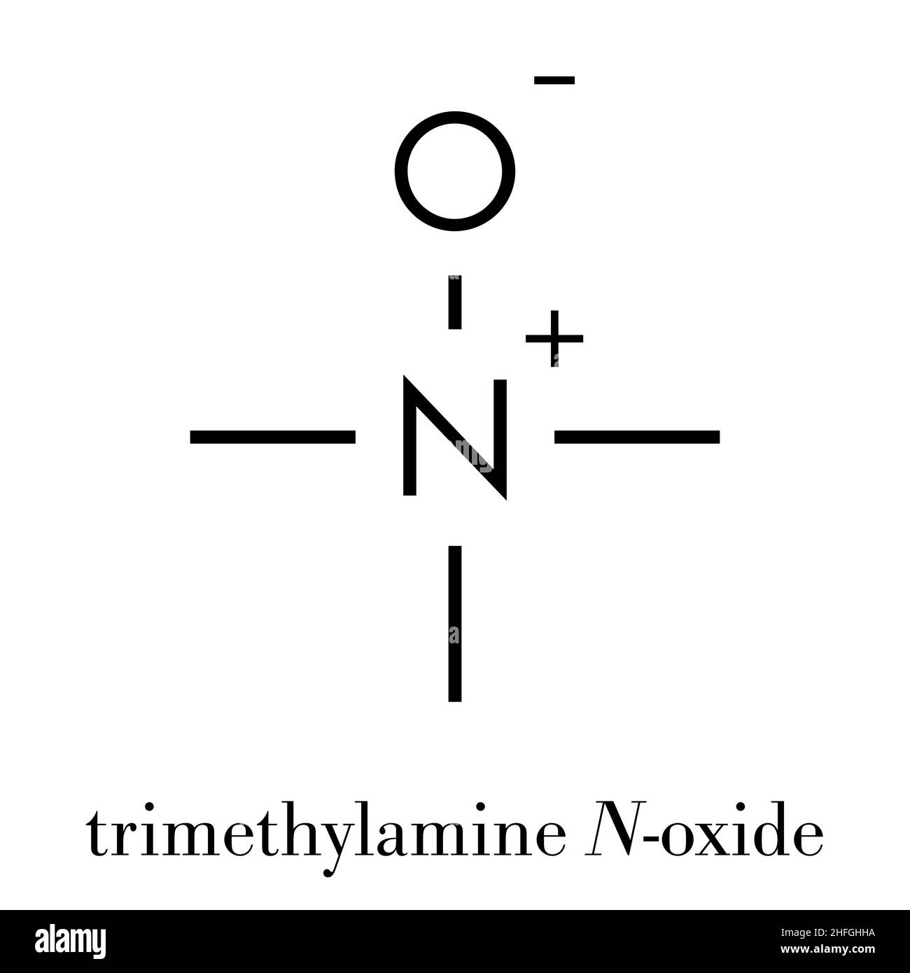 Trimethylamine Lewis Structure