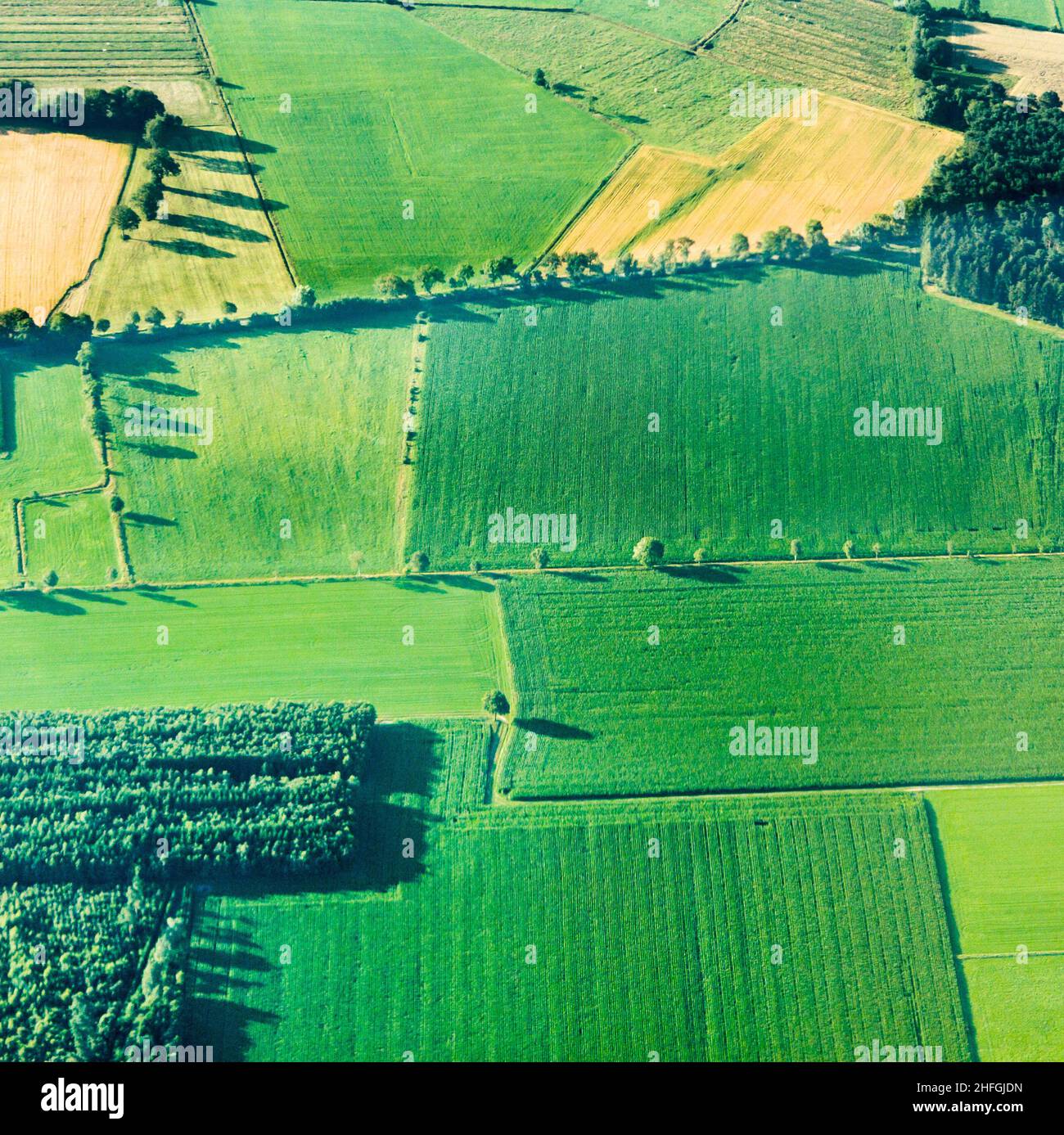 aerial view of green fields and slopes Stock Photo - Alamy