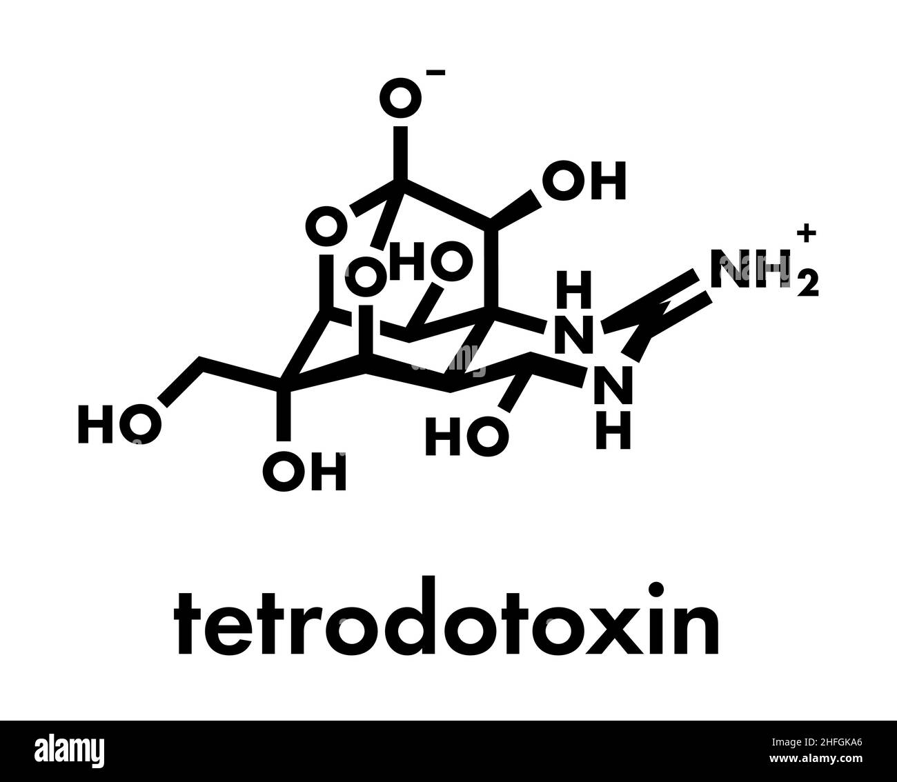 Tetrodotoxin (TTX) pufferfish neurotoxin molecule. Skeletal formula ...
