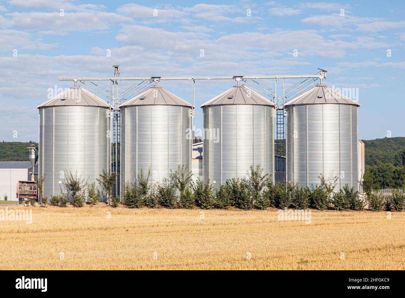 four silver silos in the field after the harvest under blue sky Stock ...