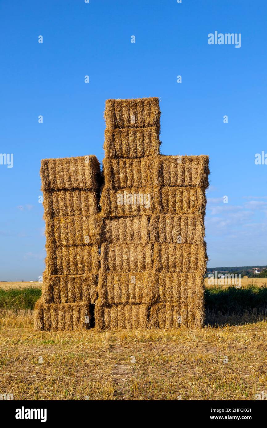 Hay bales stacked under hi-res stock photography and images - Alamy