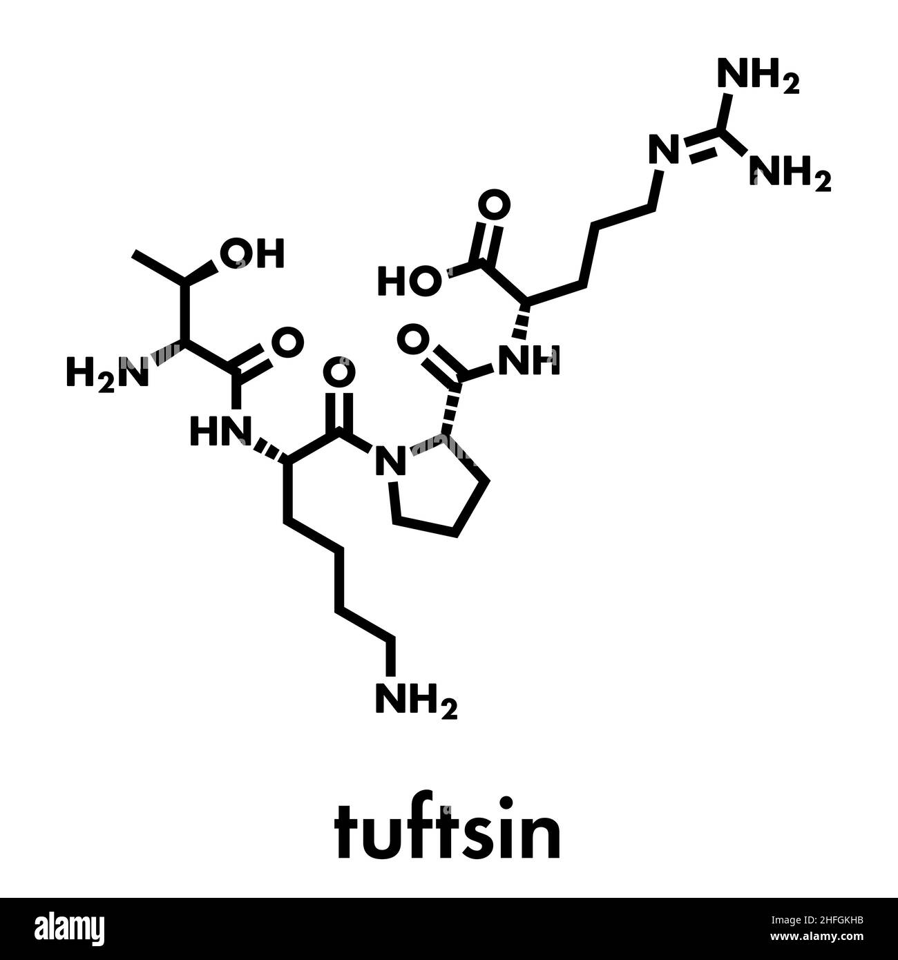 Tuftsin tetrapeptide molecule. Skeletal formula Stock Vector Image & Art - Alamy
