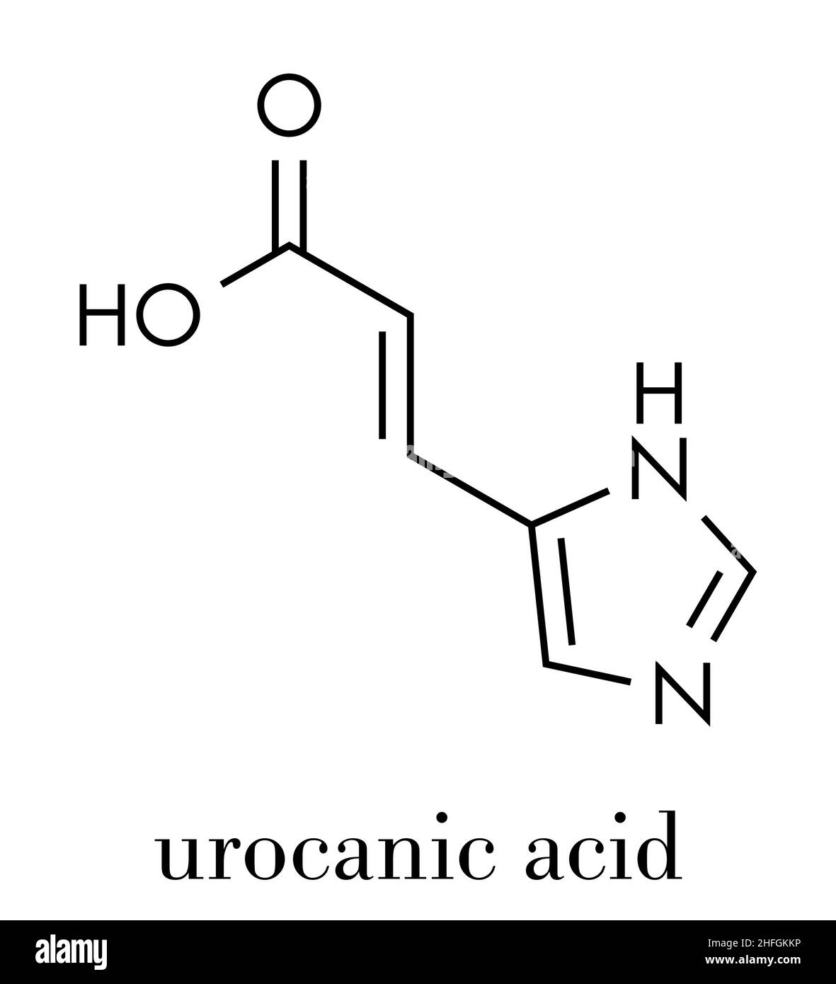 Urocanate Stock Vector Images - Alamy