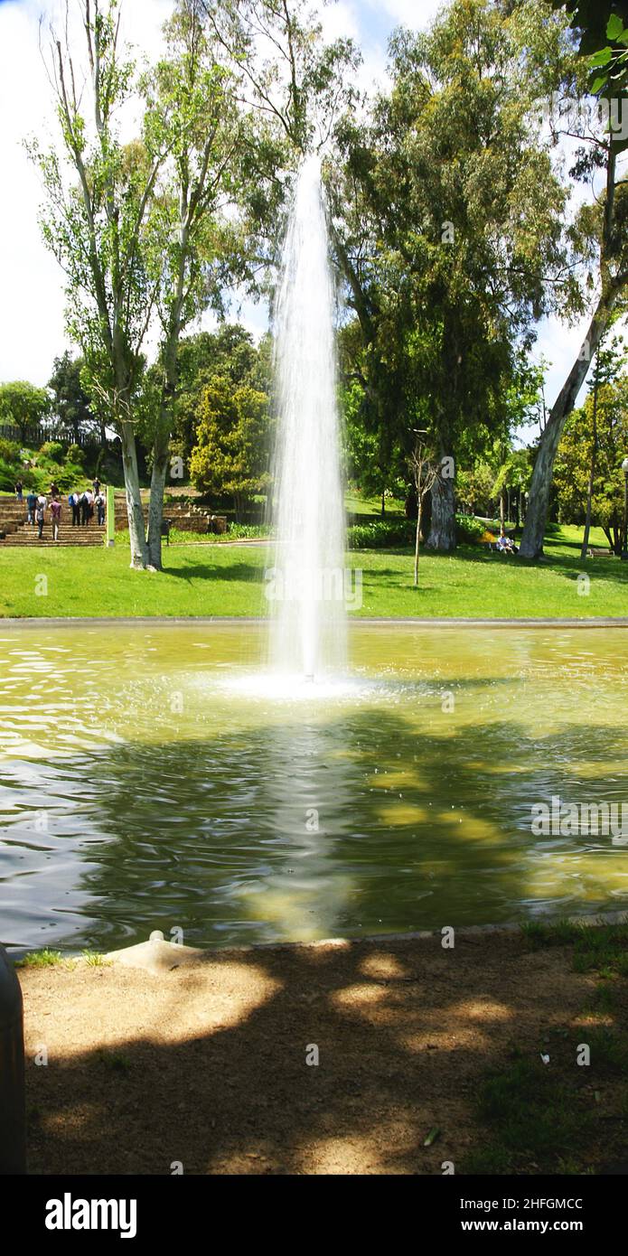 Jet of water in the pond of the Mosén Cinto Verdaguer gardens in ...