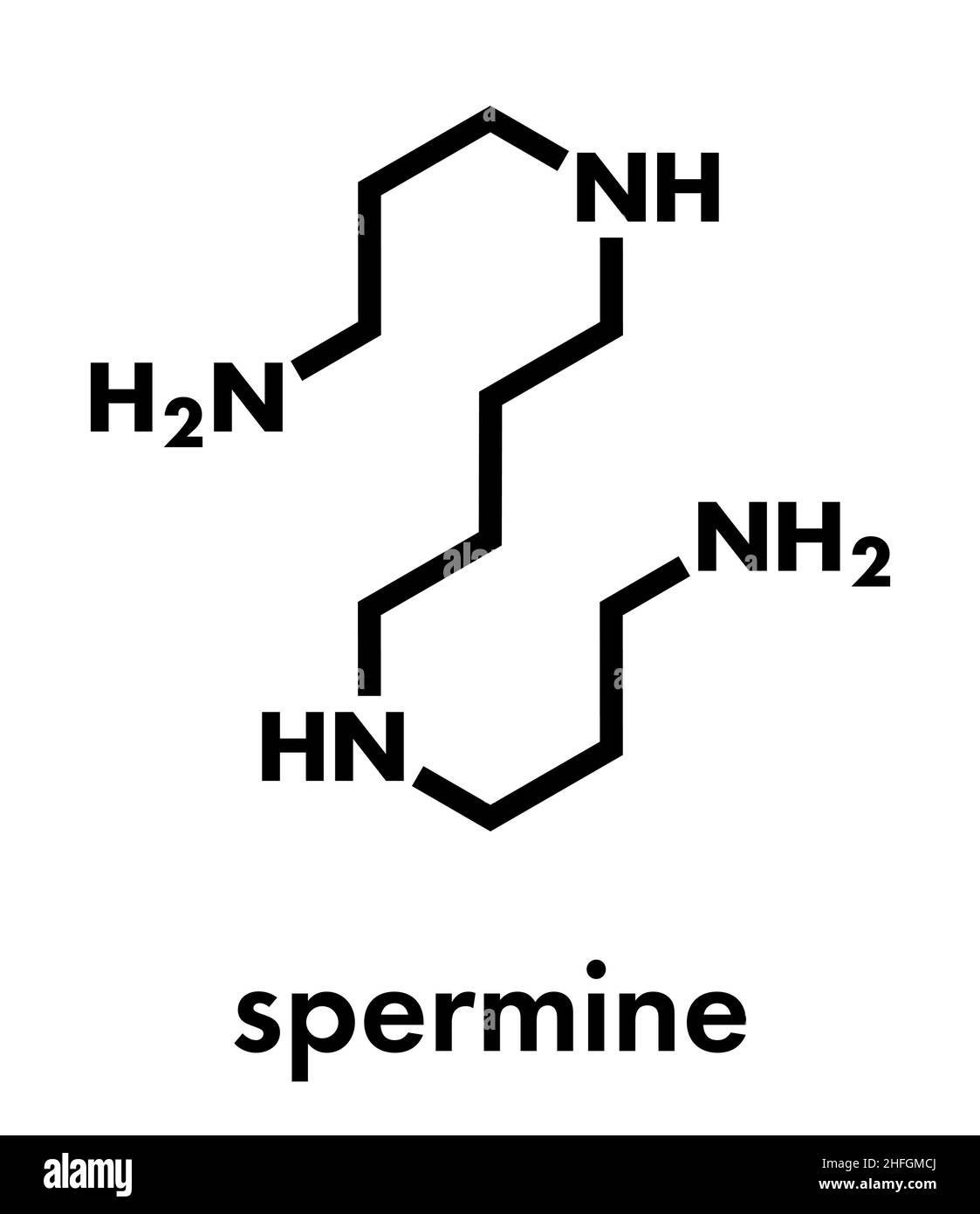 Spermine molecule. Skeletal formula Stock Vector Image & Art - Alamy