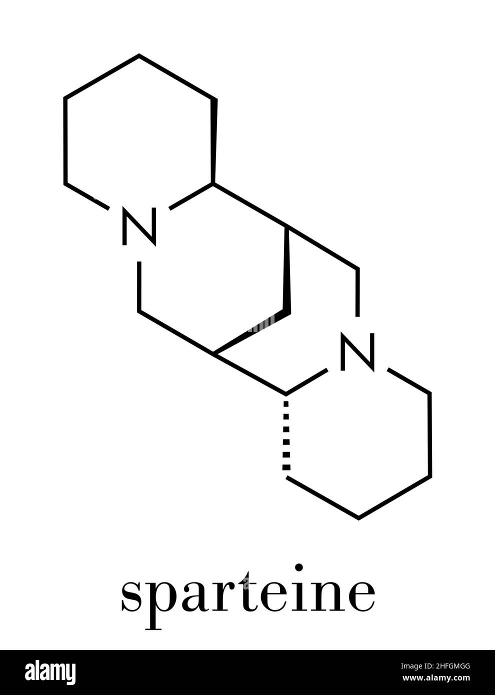 Sparteine scotch broom alkaloid molecule. Skeletal formula Stock Vector ...