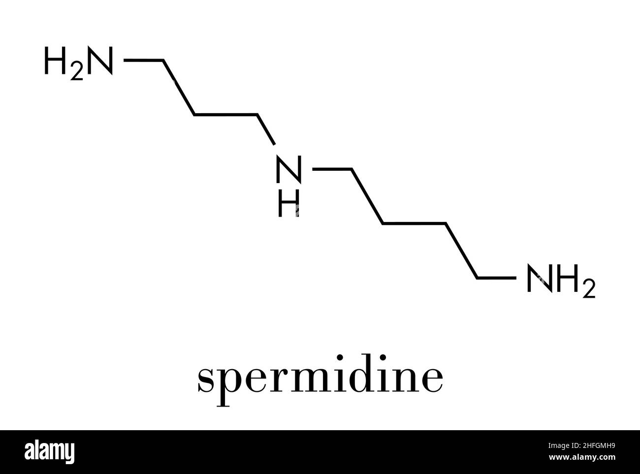 Spermidine molecule. Skeletal formula Stock Vector Image & Art - Alamy