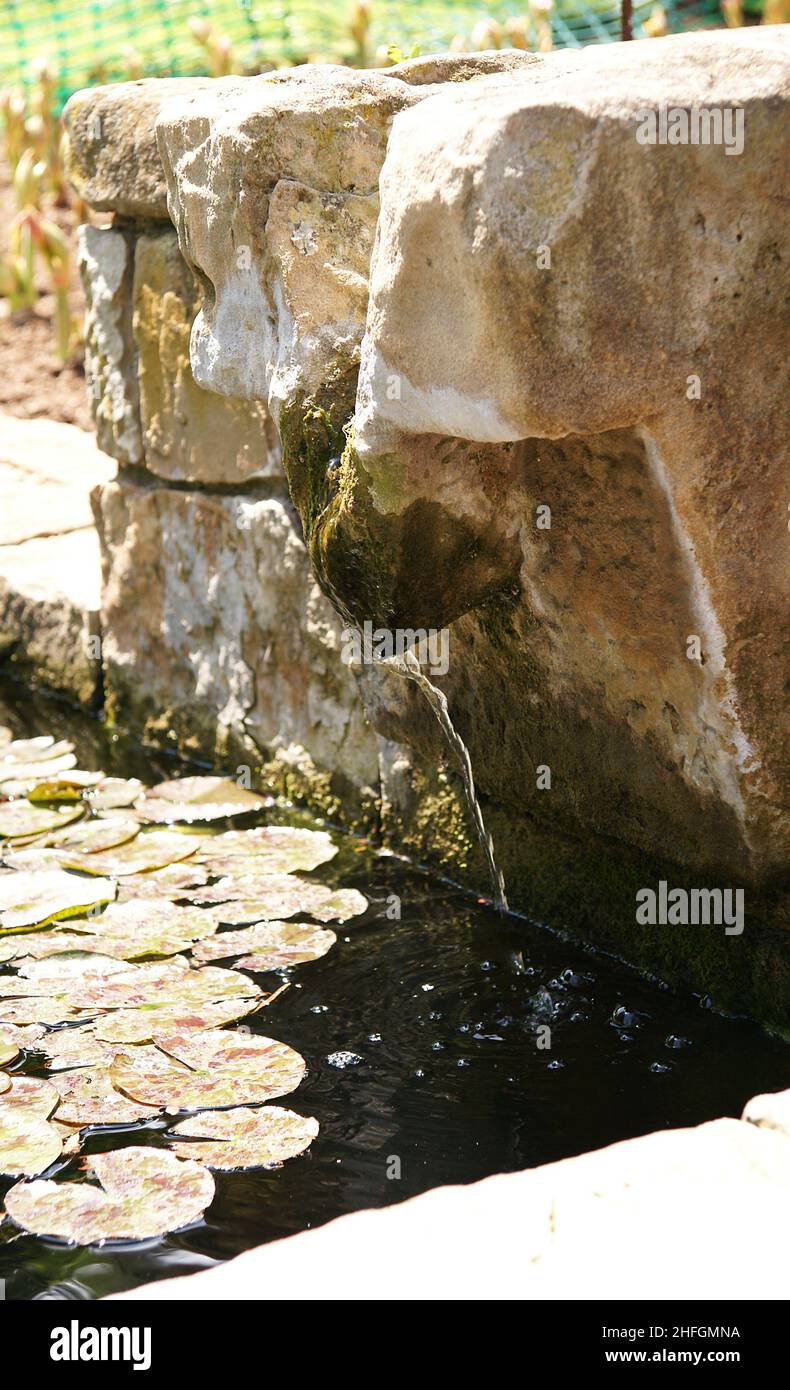 Jet of water in the pools of aquatic plants in the gardens of Mosén ...