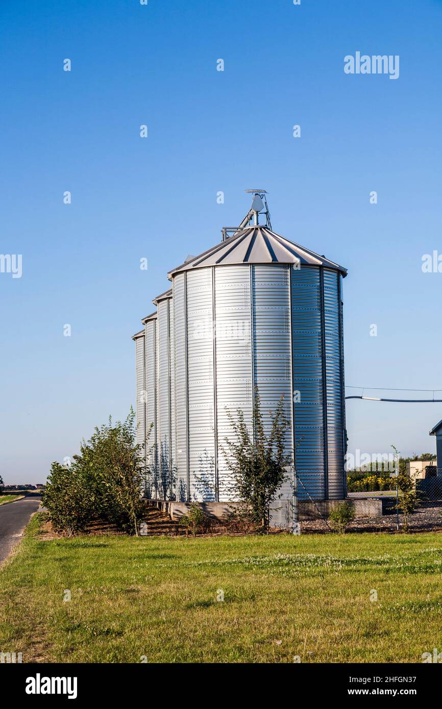 golden corn field in harvest with silo Stock Photo - Alamy