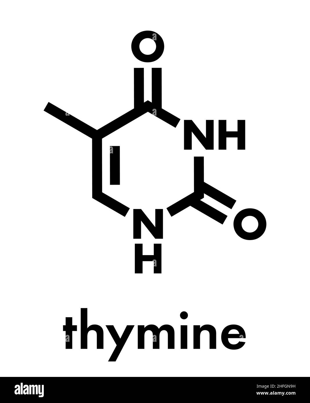 Thymine (T) nucleobase molecule. present in DNA. Skeletal formula Stock ...