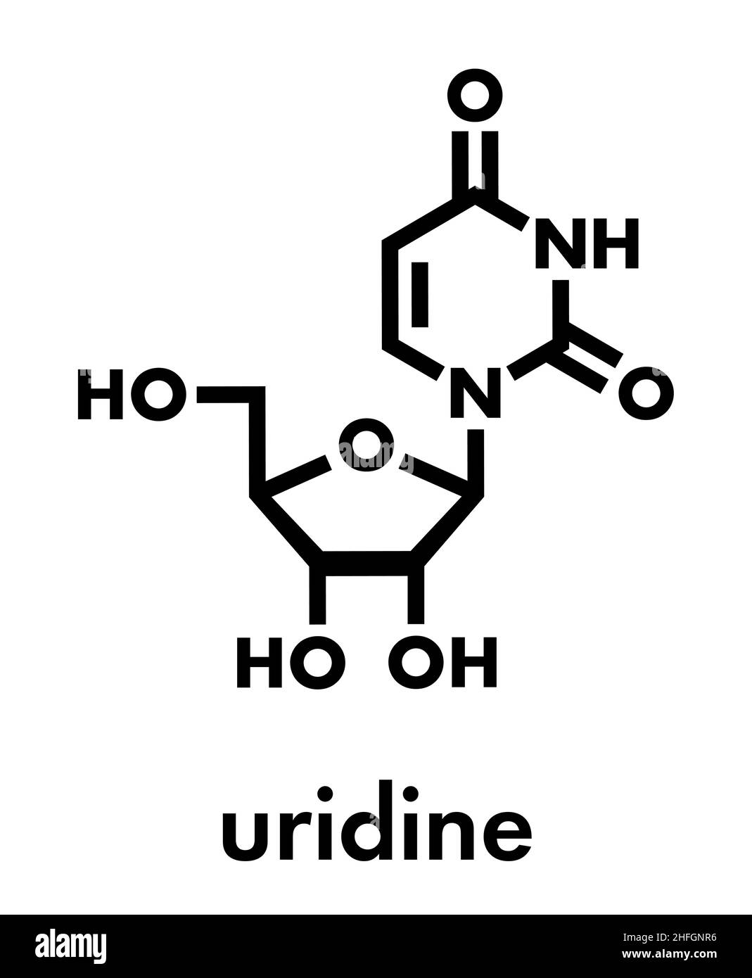 Uridine nucleoside molecule. Building block of RNA. Skeletal formula ...