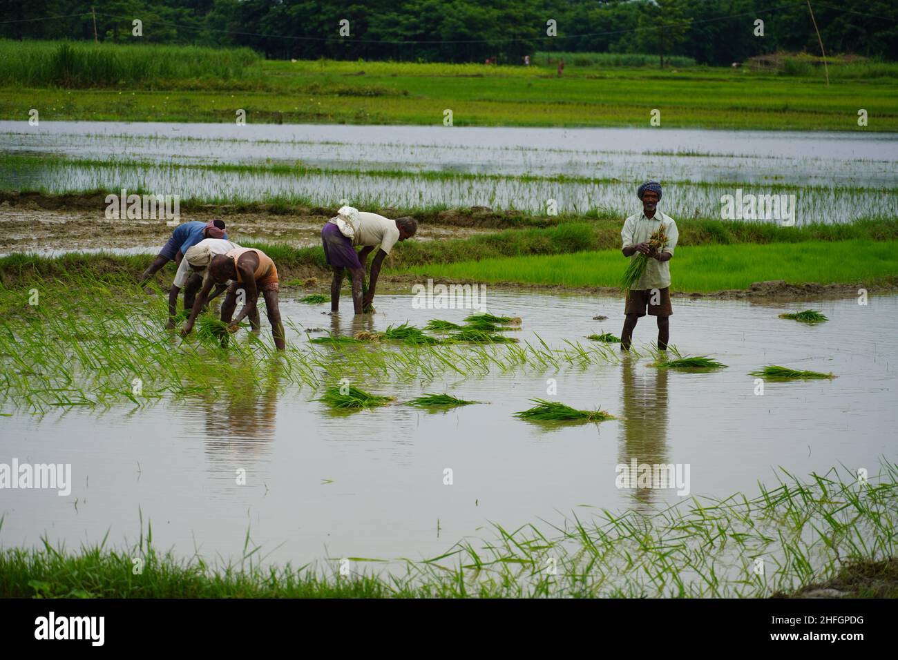 Poor farmers are in farm -Agriculture conecept Stock Photo - Alamy