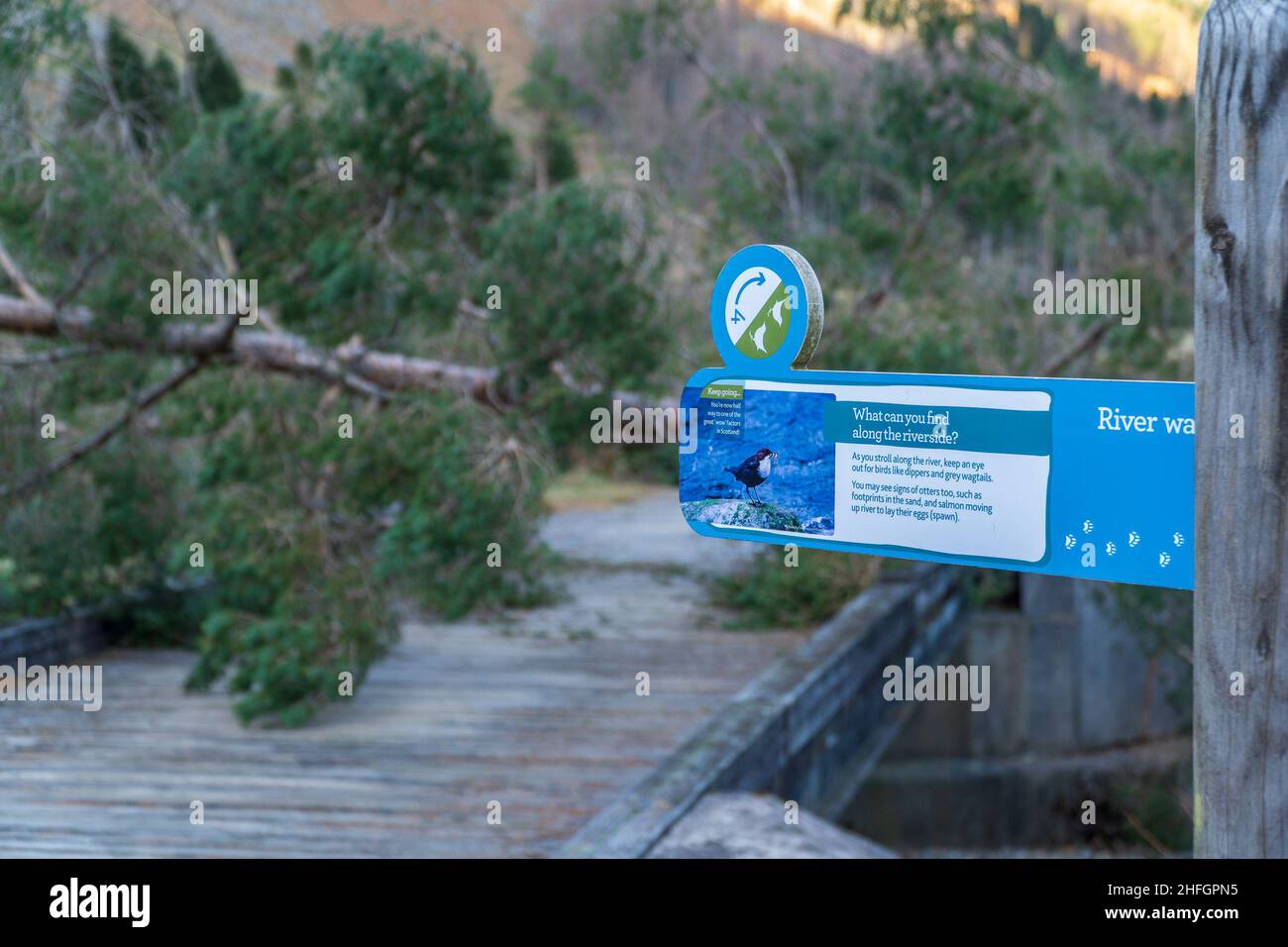Glen Doll, Glen Clova, Angus, Scotland, UK, 16th of Jan 2022: Pictured ...